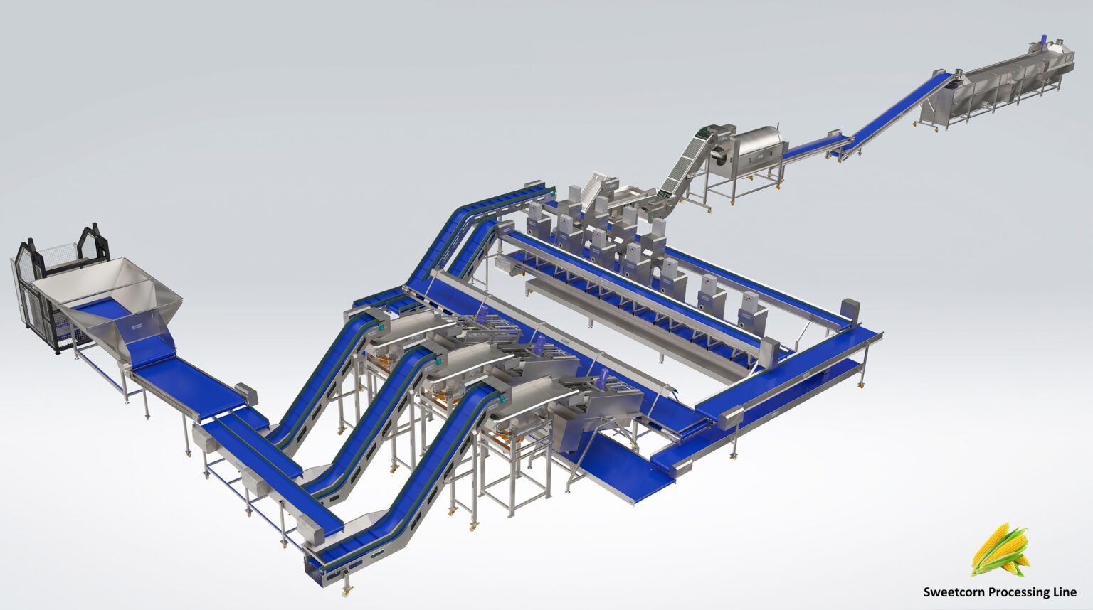 Sweet Corn Processing Line – Hadi Pack